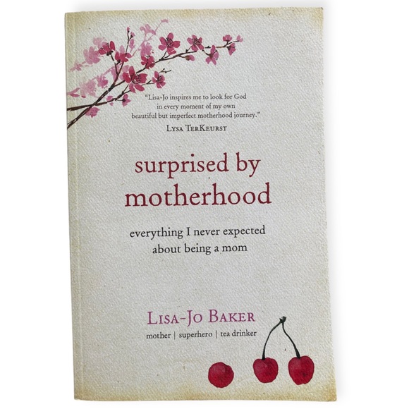 None | Other | Surprised By Motherhood Lisa Jo Baker | Poshmark